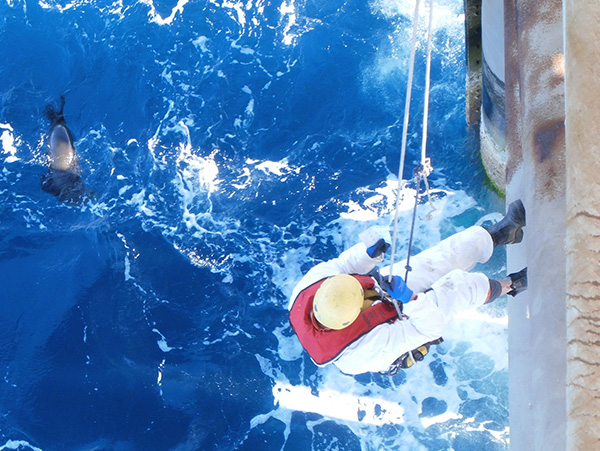 Subsea Pipeline Corrosion Management - The Australasian Corrosion ...