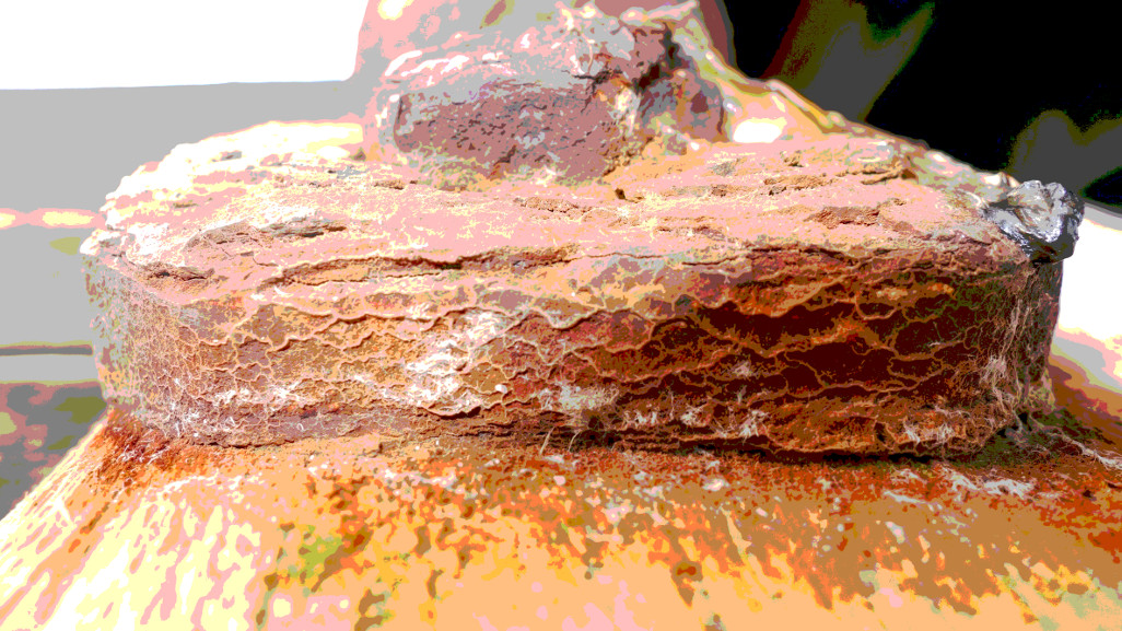 Training - The Australasian Corrosion Association Inc.