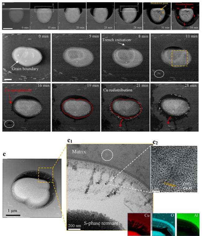 From Experimental And Computational Inhibitor Screening To Advanced ...