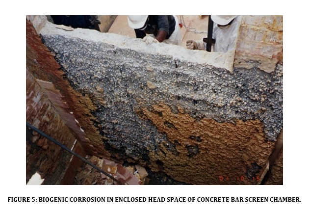 Common Corrosion Types in Wastewater Systems and How to Select the Most ...